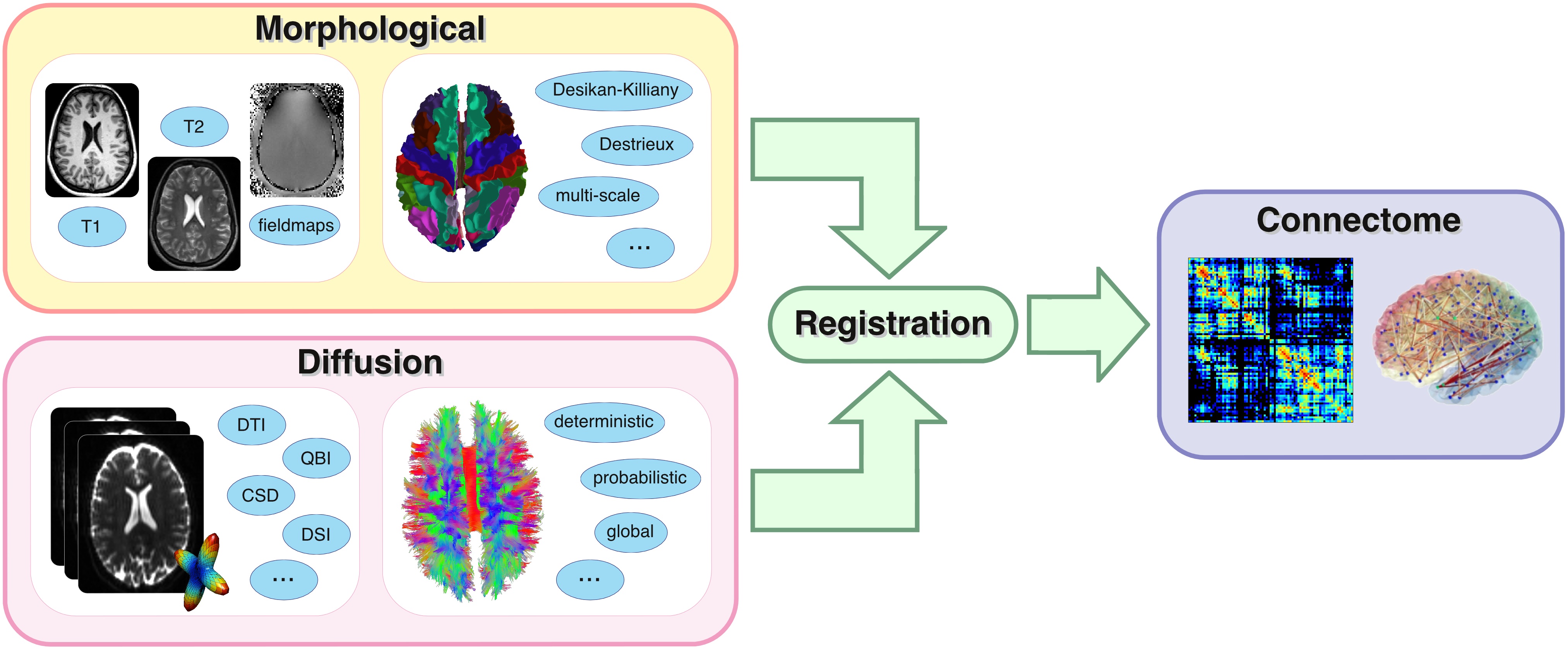 Connectome Mapper — The Connectome Mapper
