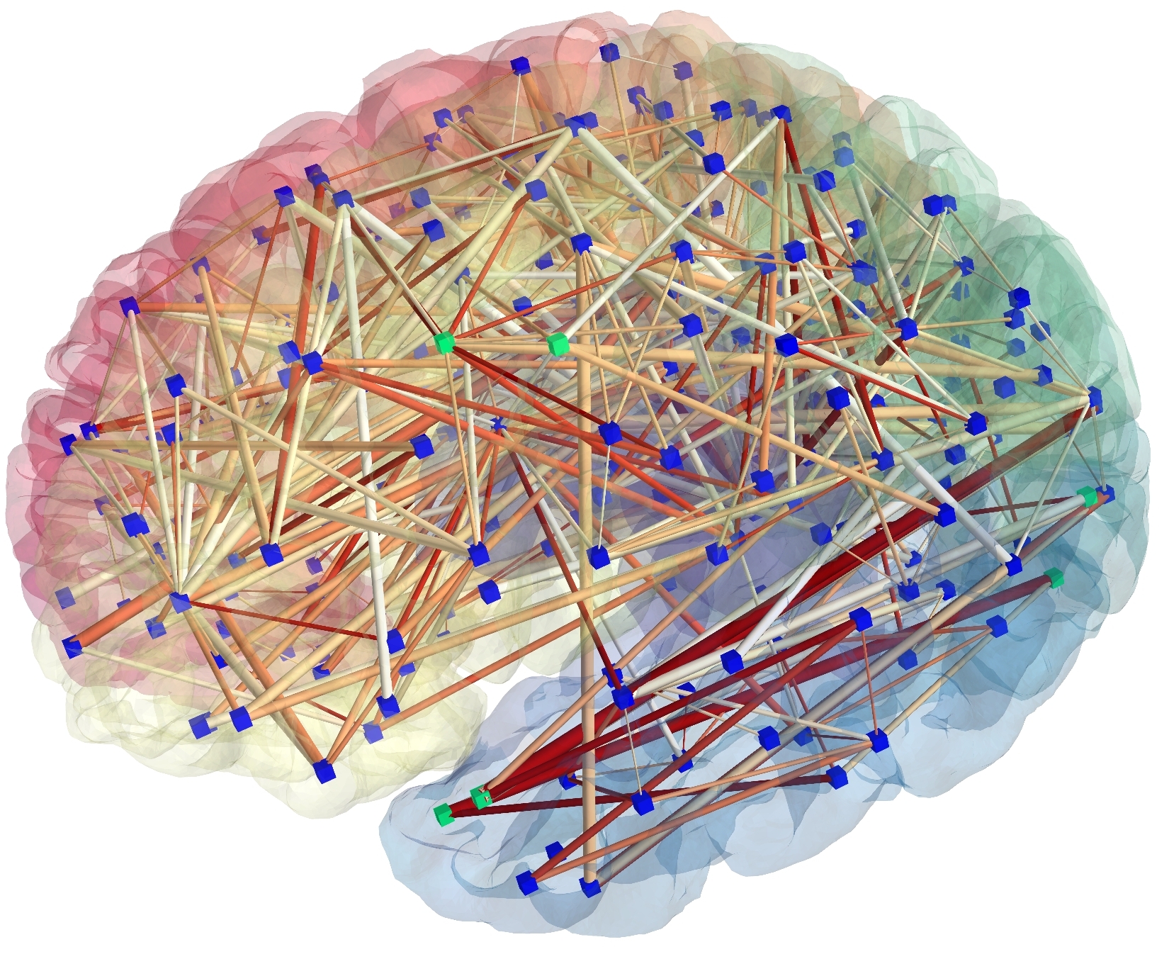 ConnectomeViewer - Multi-Modal Multi-Level Network and Neuroimaging ...